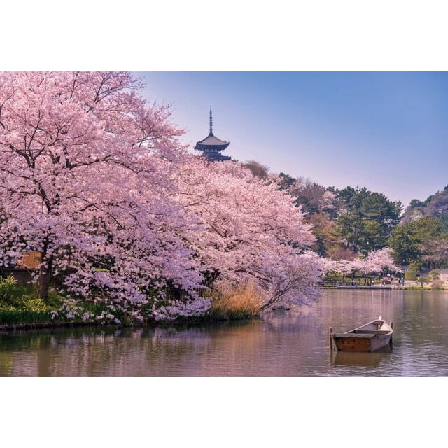 Spring Cherry Blossom Flowers River Boat Mountain Seaside Scenic ...