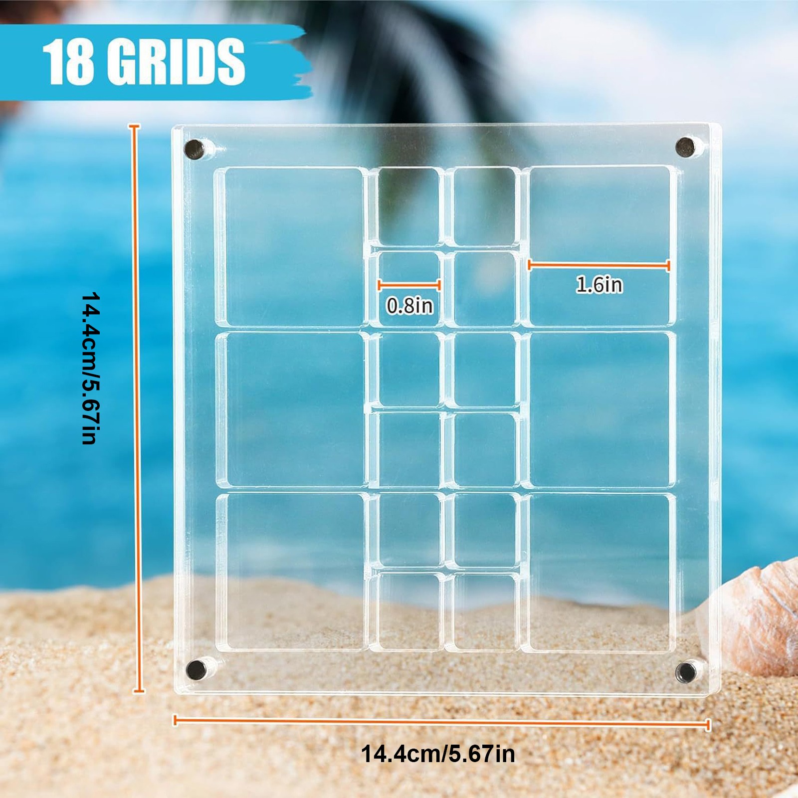 Spring Decoration Acrylic Seashell Display Box for Seashell Trinket ...