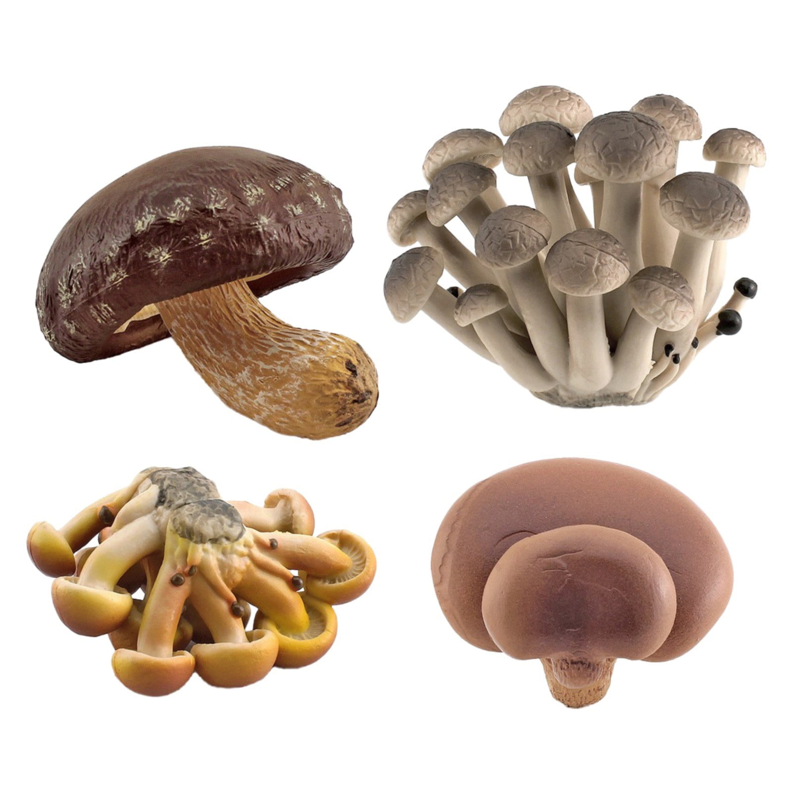 Spring Decoration Model Shiitake White Goose Paste Agaricus Blazei ...