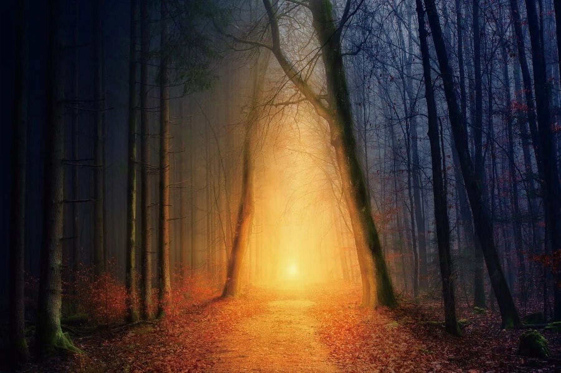 Spring Dusk Jungle Forest Nature Landscape Photo Backdrop Kids Adults ...