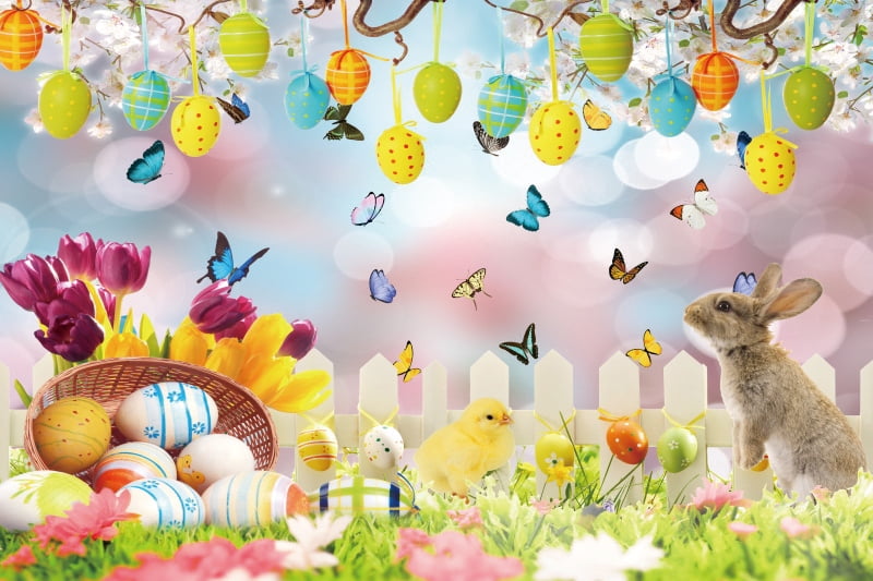 Spring Easter Backdrop Dreamy Light Bokeh Garden Fence Colorful Eggs ...