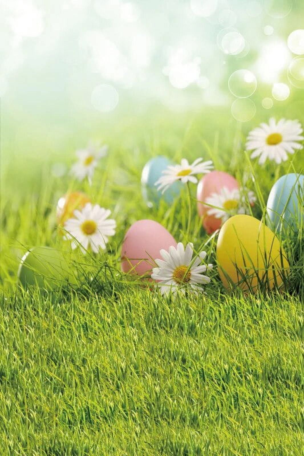 Spring Easter Backdrop Rabbit Colore Eggs Flower Grass Wood Floor ...
