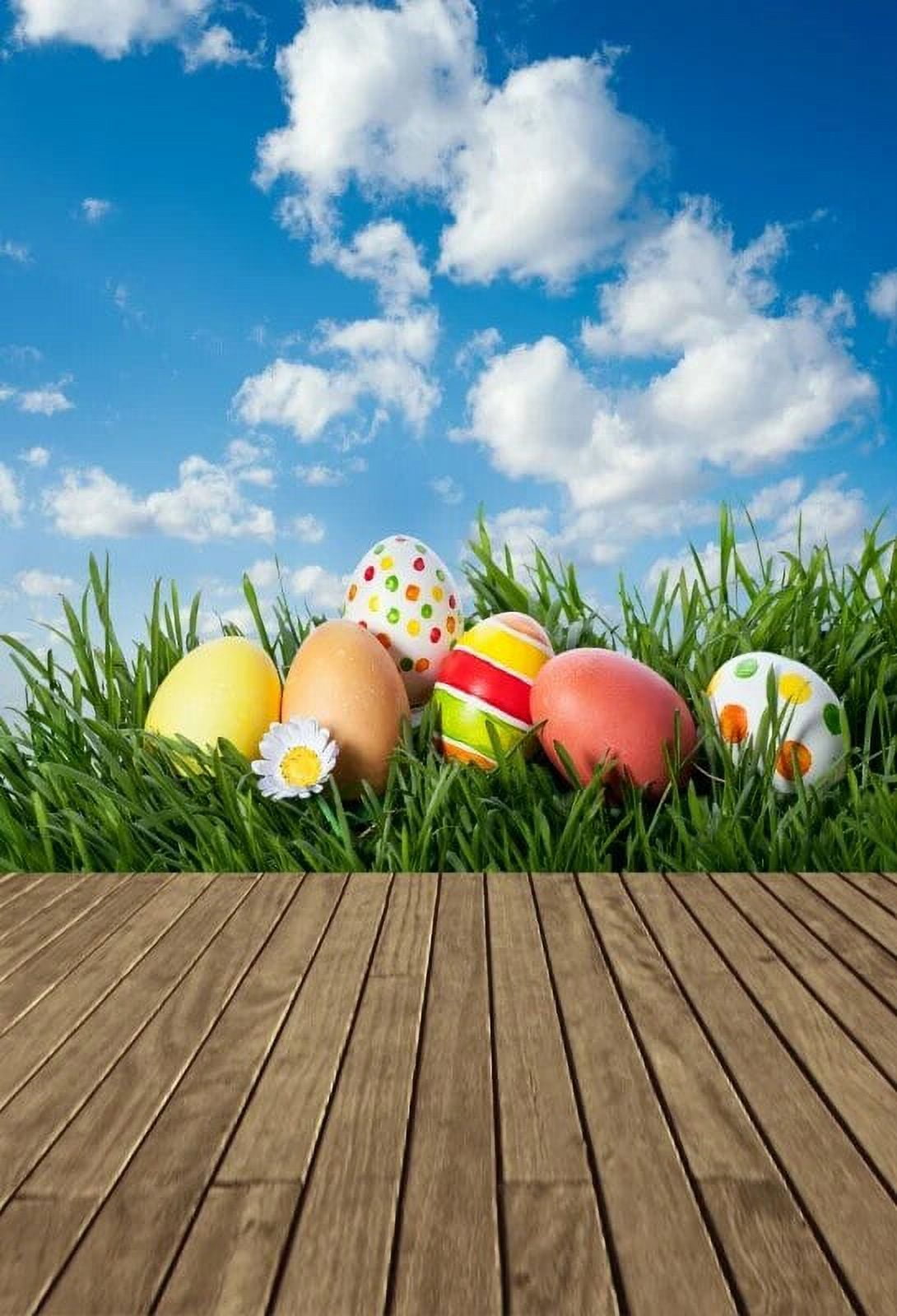 Spring Easter Backdrop Rabbit Colore Eggs Flower Grass Wood Floor ...
