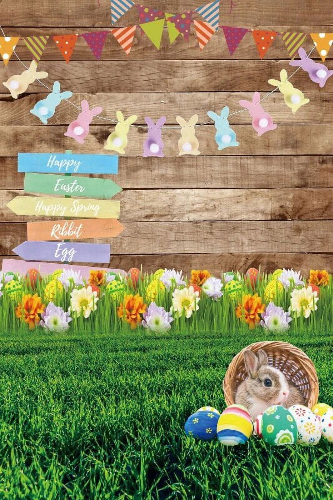 Spring Easter Backdrop Rabbit Colore Eggs Flower Grass Wood Floor ...