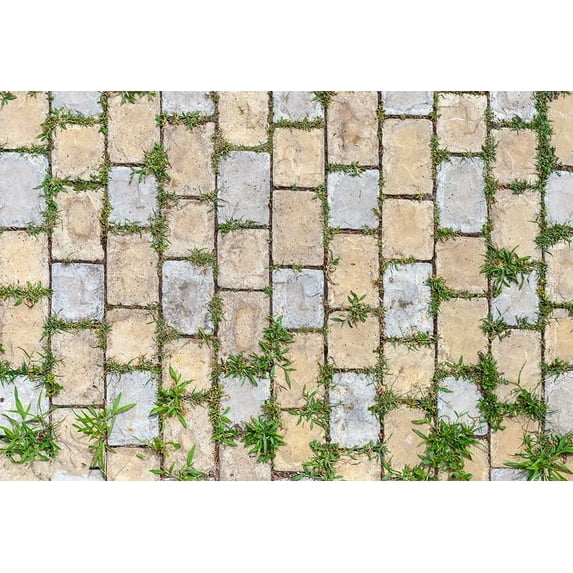 Spring Easter Bunny Rabbit Eggs Kids Birthday Cake Smash Portrait r ...