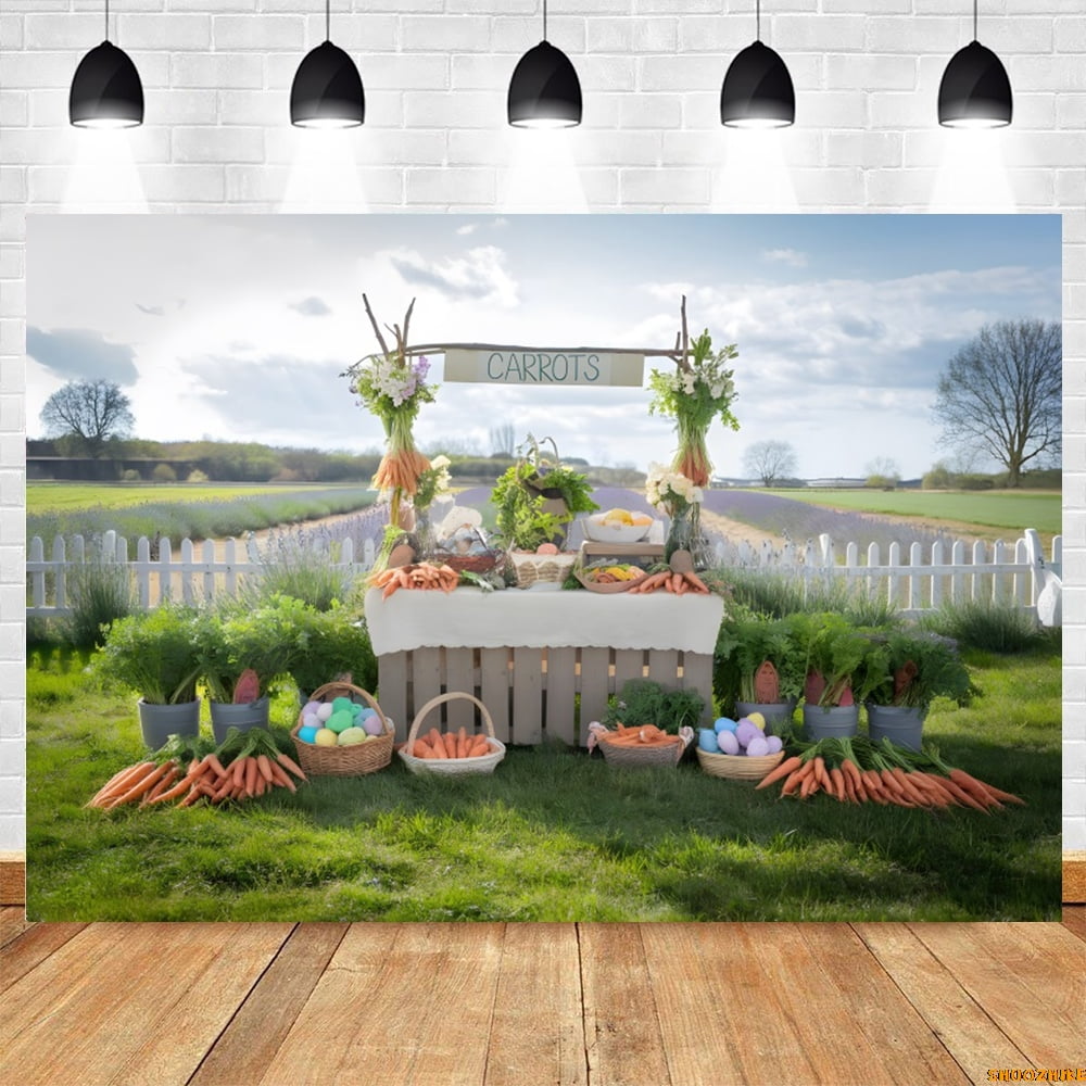 Spring Easter Carrot Stall Backdrop Carrots Colorful Eggs Grass Field ...