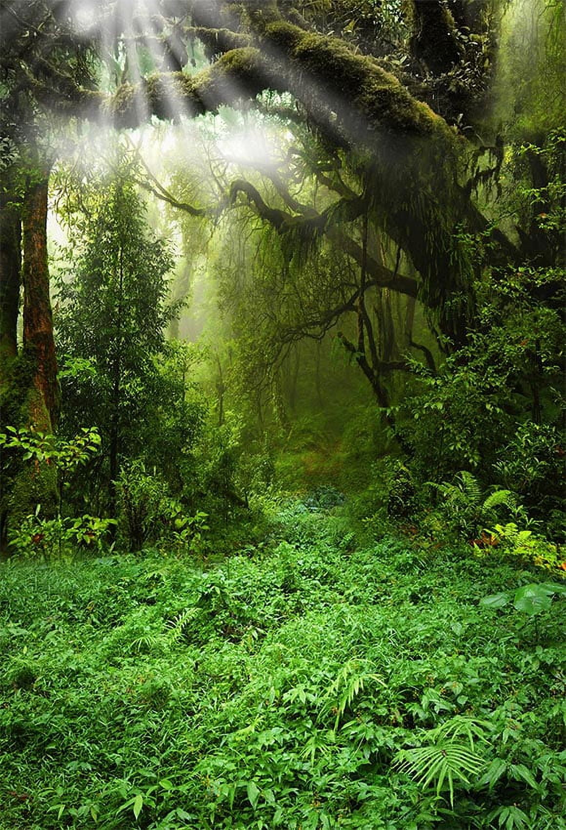 Spring Enchanted Forest Backdrop Mushrooms Fairy Tale Kids Children ...
