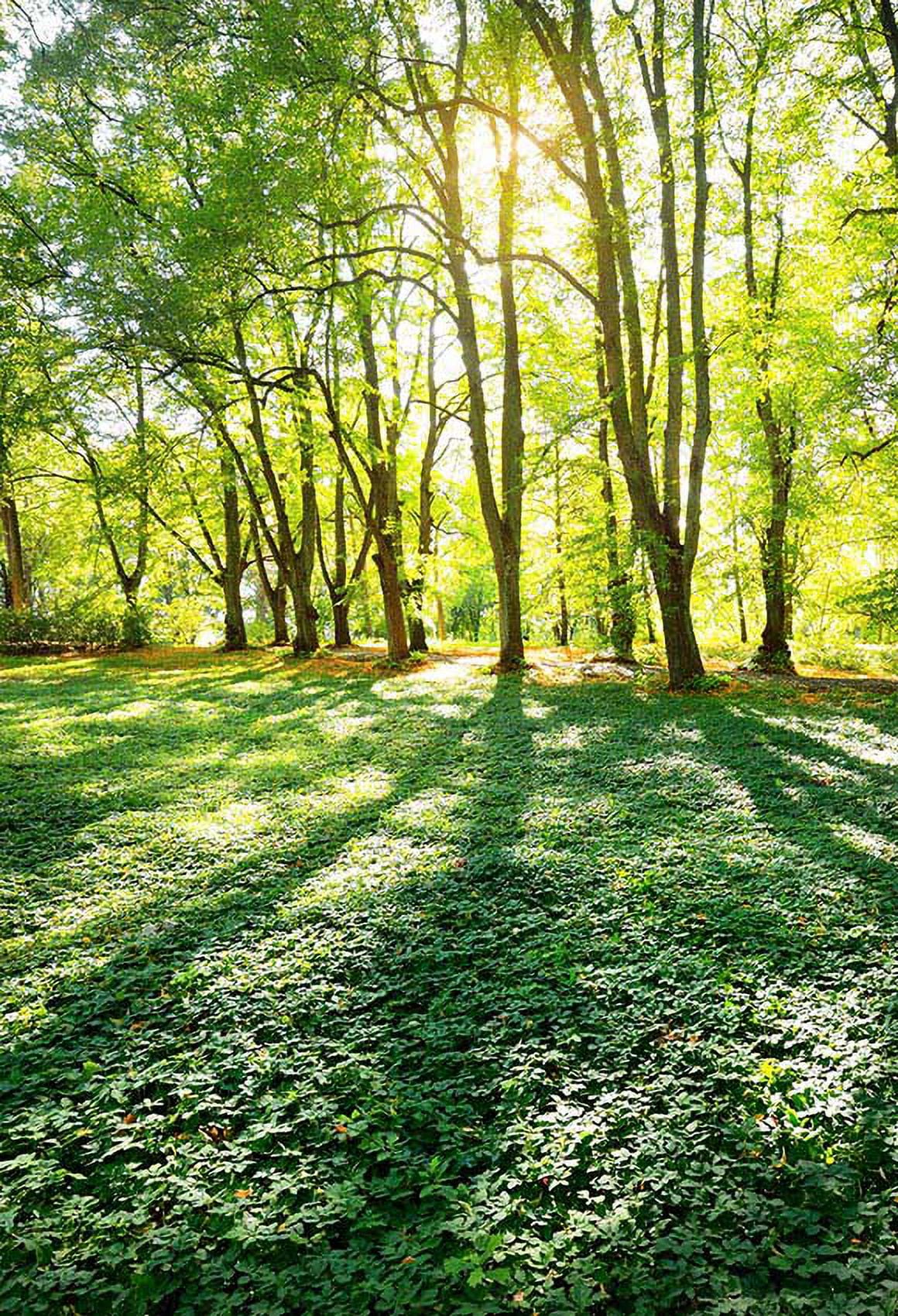 Spring Enchanted Forest Backdrop Mushrooms Fairy Tale Kids Children ...