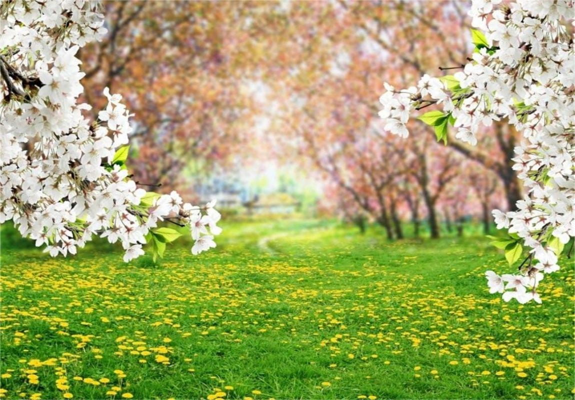 Spring Floral Backdrop Vintage Wood Red Rose Interior Home Background ...