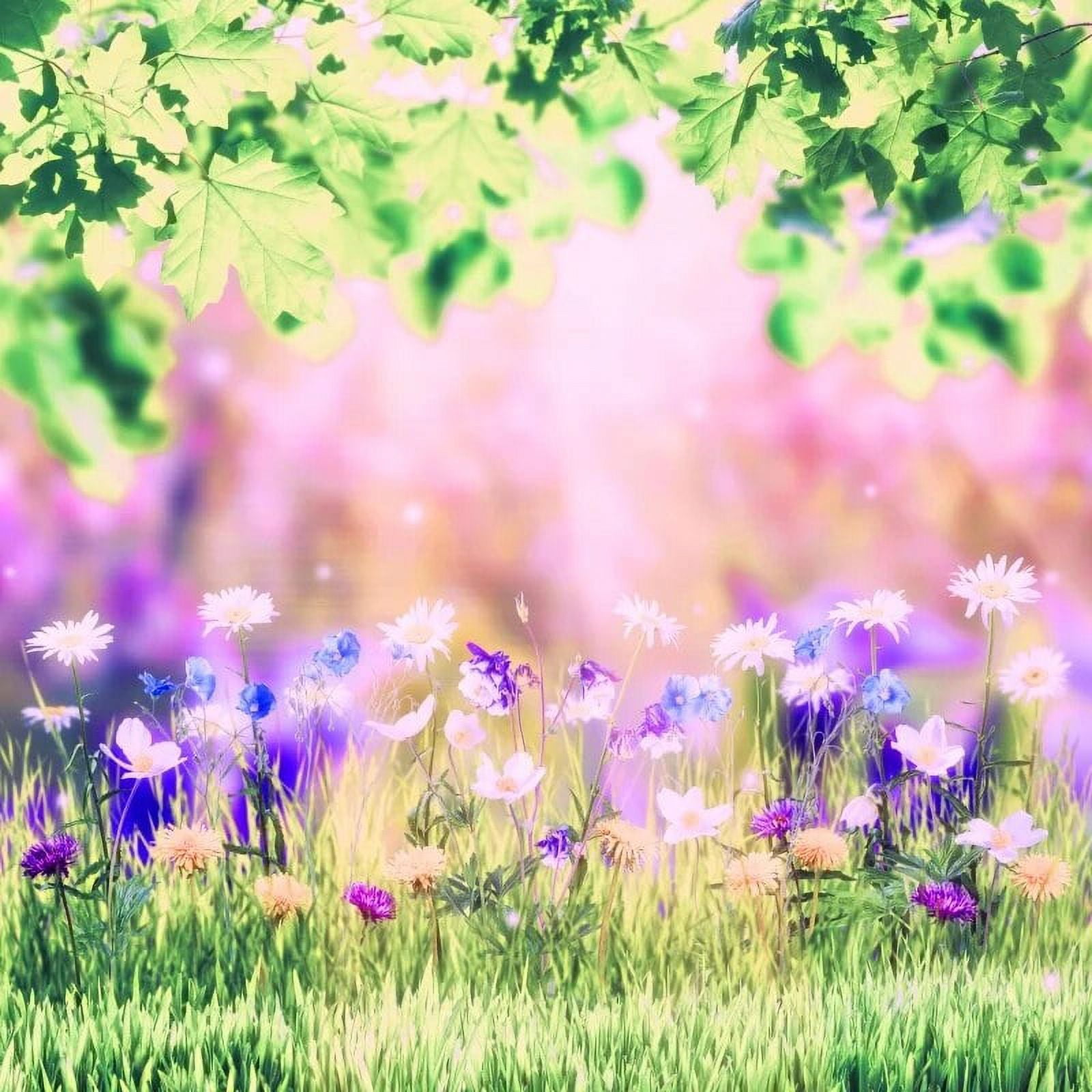 Spring Floral Flowers Grass Lawn Sunshine Party Picnic Scenic ...