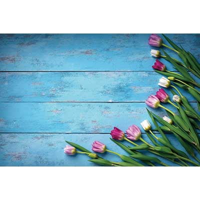 Spring Floral Wood Backdrop Purple Wood Plank Boards Photo Z Background ...