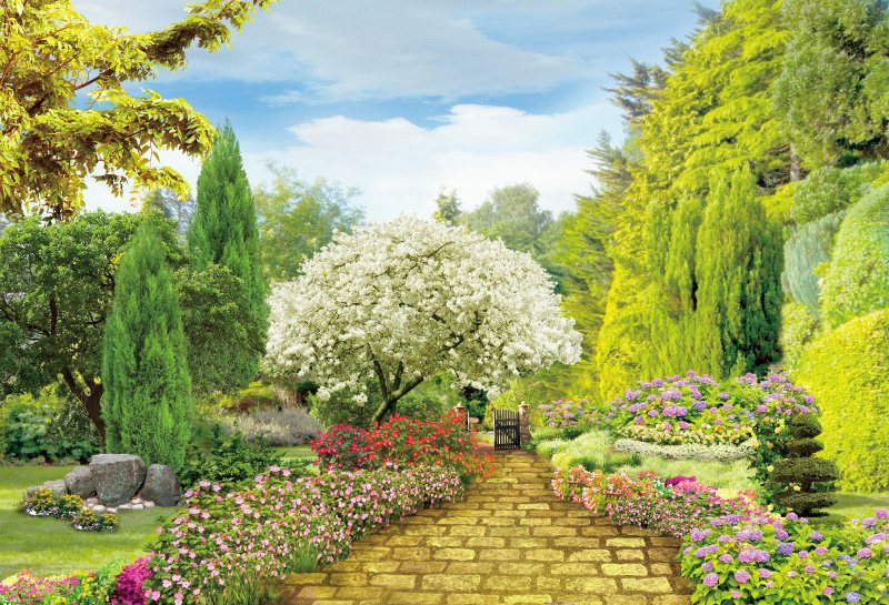 Spring Flower Garden Landscape Scenery Grassland Park Photo Background ...