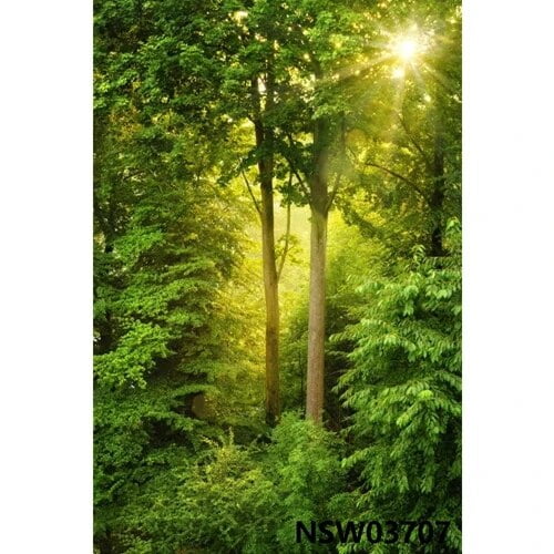 Spring Flower Green Park Forest Nature Scenery Baby Birthday Backdrop ...