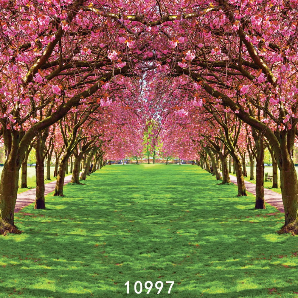 Spring Flower Tree Garden Path Photography Backdrops Backgrounds for ...