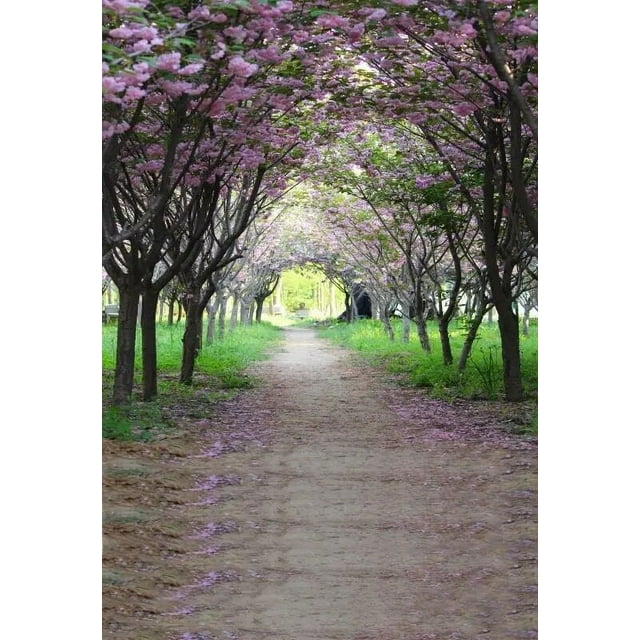 Spring Flowered Tree Footpath Photography Backgrounds Seamless Banner ...
