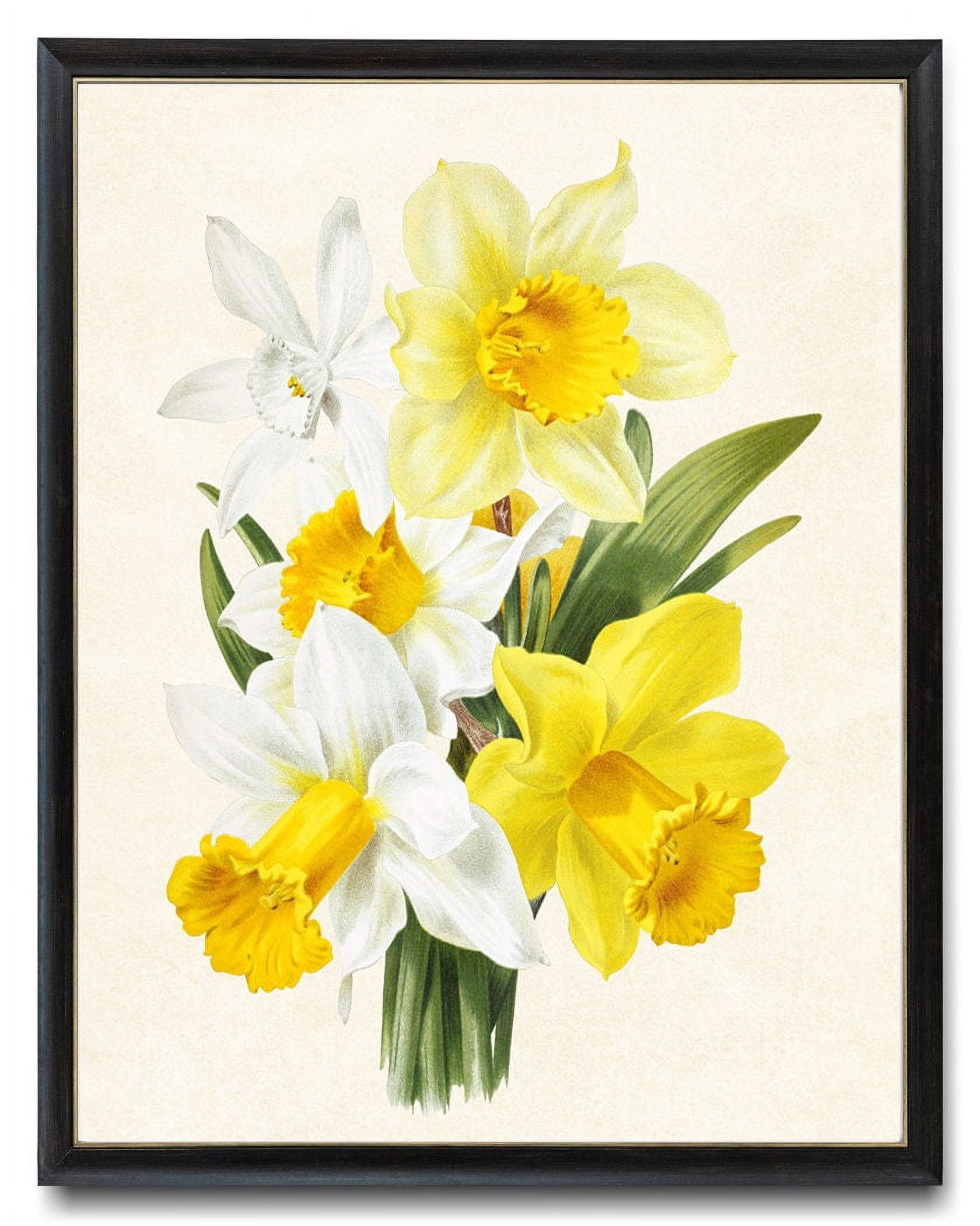 Spring Flowers Art Print, Digital Download, Daffodils Vintage Flower ...