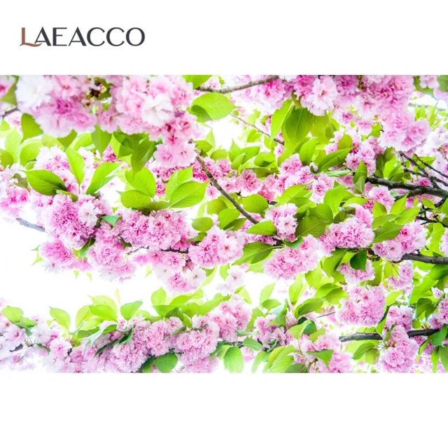 Spring Flowers Branch Tree Sunshine Pattern Scenic Photozone ...