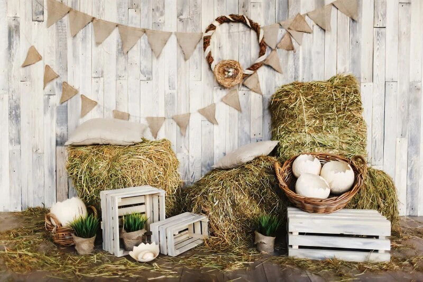 Spring Flowers Interior Decor Photographic Backgrounds Easter Scene ...