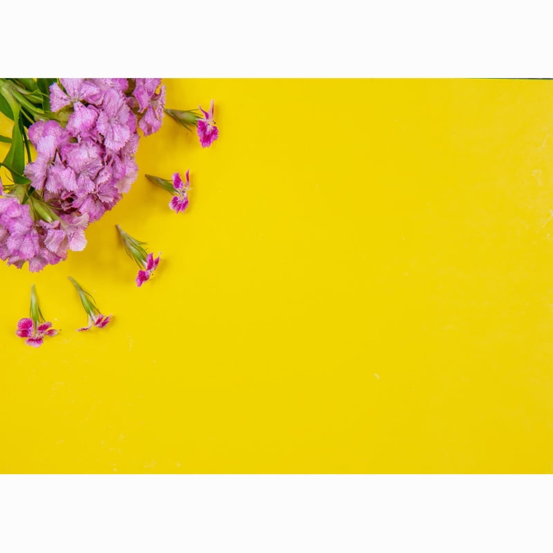 Spring Flowers Petal Wood Plank Photography Backdrops Wooden Board Baby ...