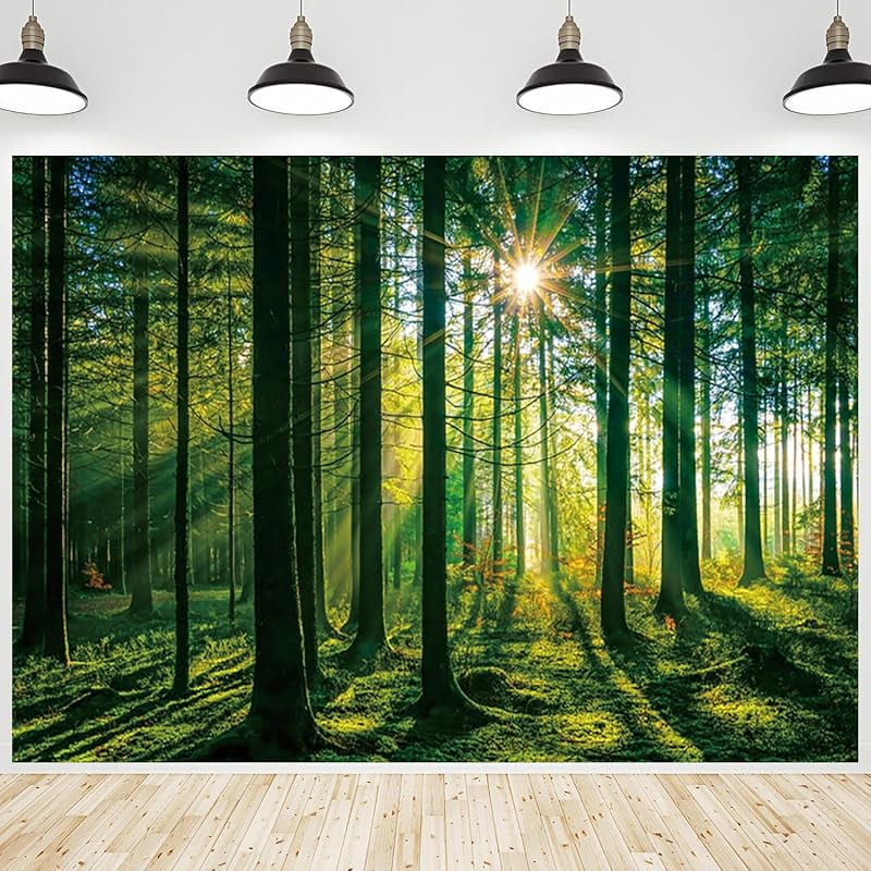 Spring Forest Backdrop Sunshine Green Trees View Nature Scenery ...