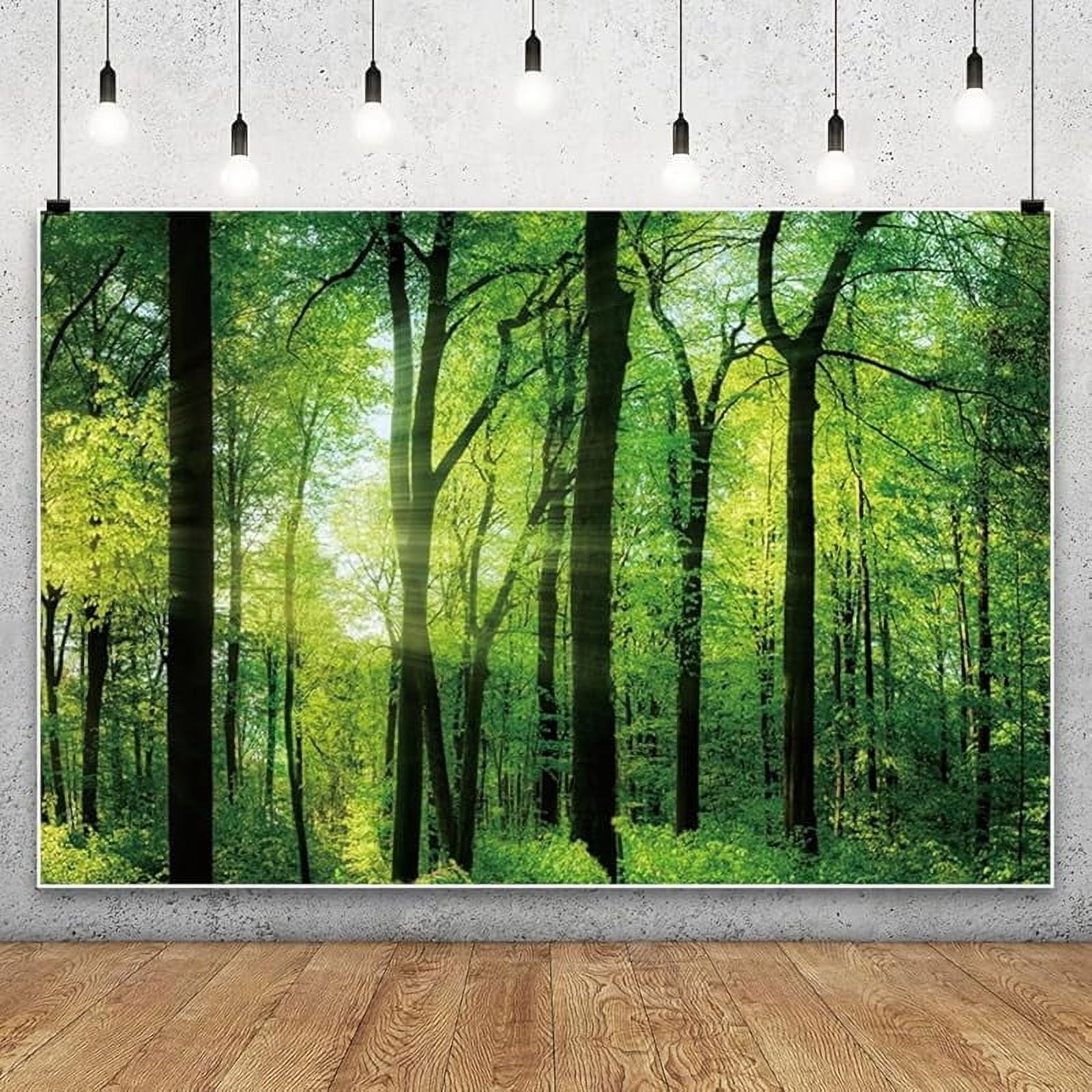 Spring Forest Backdrop Sunshine Sunlight Through Trees Jungle Forest ...