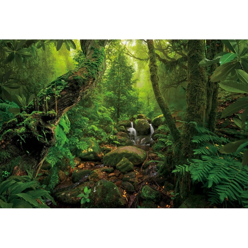 Spring Forest Backdrop Tropical Jungle Rainforest Backdrops for ...