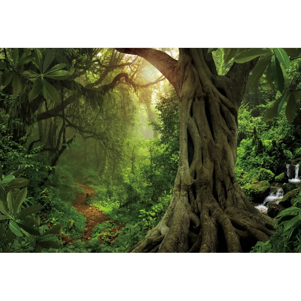 Spring Forest Backdrop Tropical Jungle Rainforest Backdrops for ...