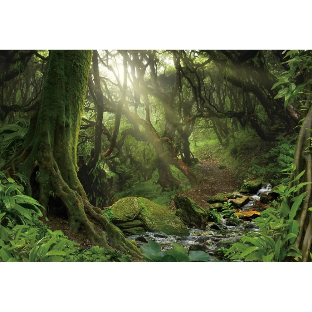 Spring Forest Backdrop Tropical Jungle Rainforest Backdrops for ...