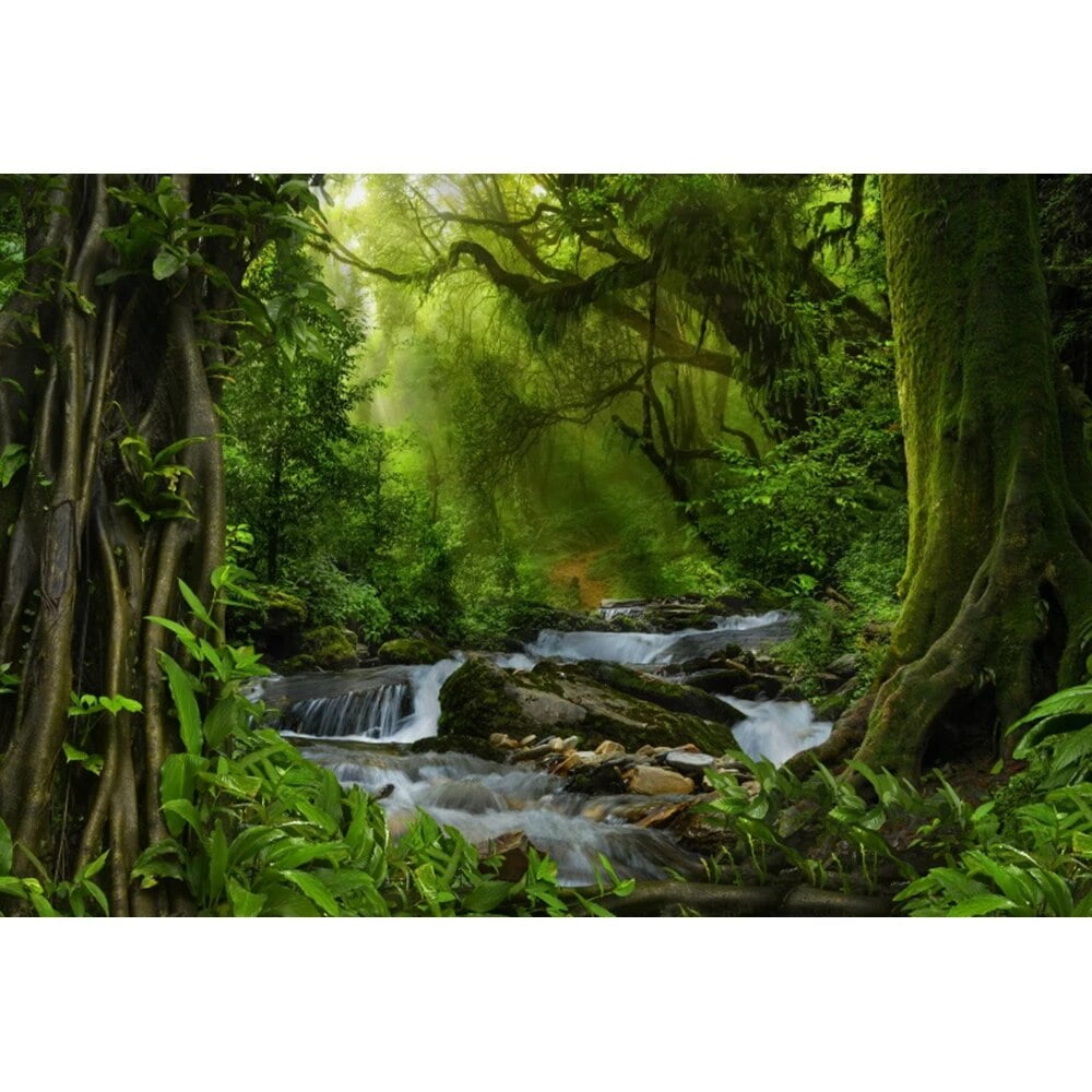 Spring Forest Backdrop Tropical Jungle Rainforest Backdrops for ...