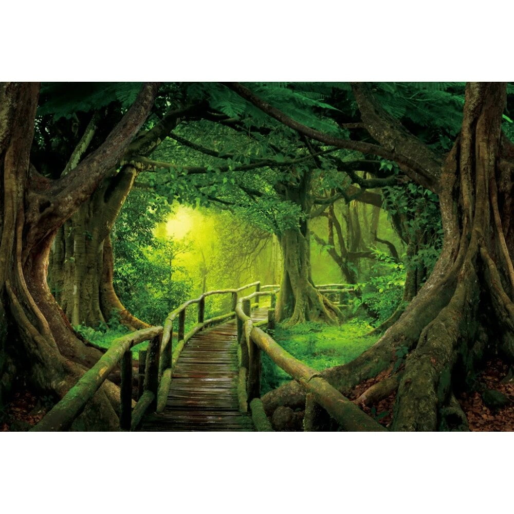 Spring Forest Backdrop Tropical Jungle Rainforest Backdrops for ...