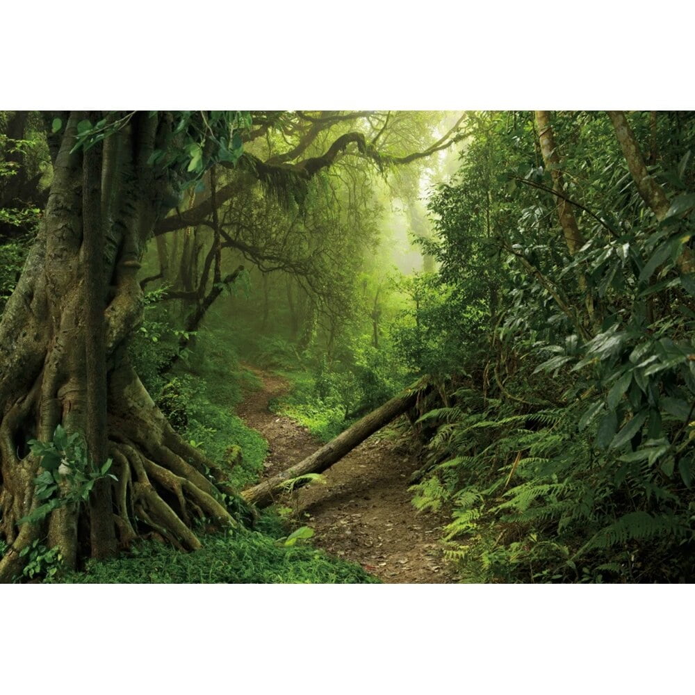 Spring Forest Backdrop Tropical Jungle Rainforest Backdrops for ...