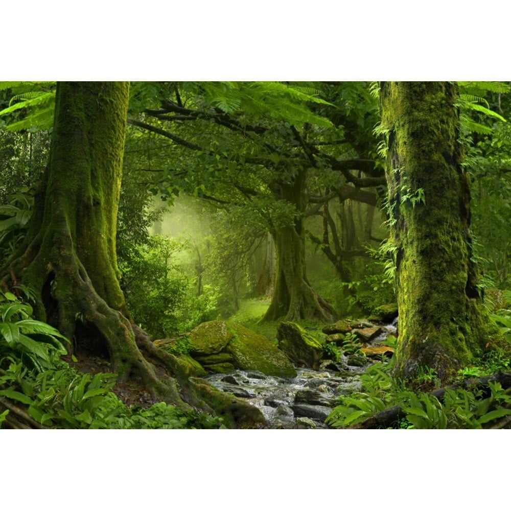 Spring Forest Backdrop Tropical Jungle Rainforest Backdrops for ...