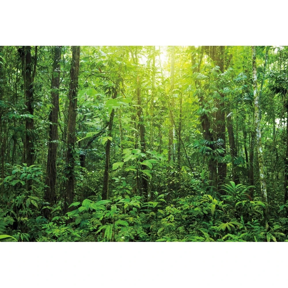 Spring Forest Backdrop Tropical Jungle Rainforest Backdrops for ...
