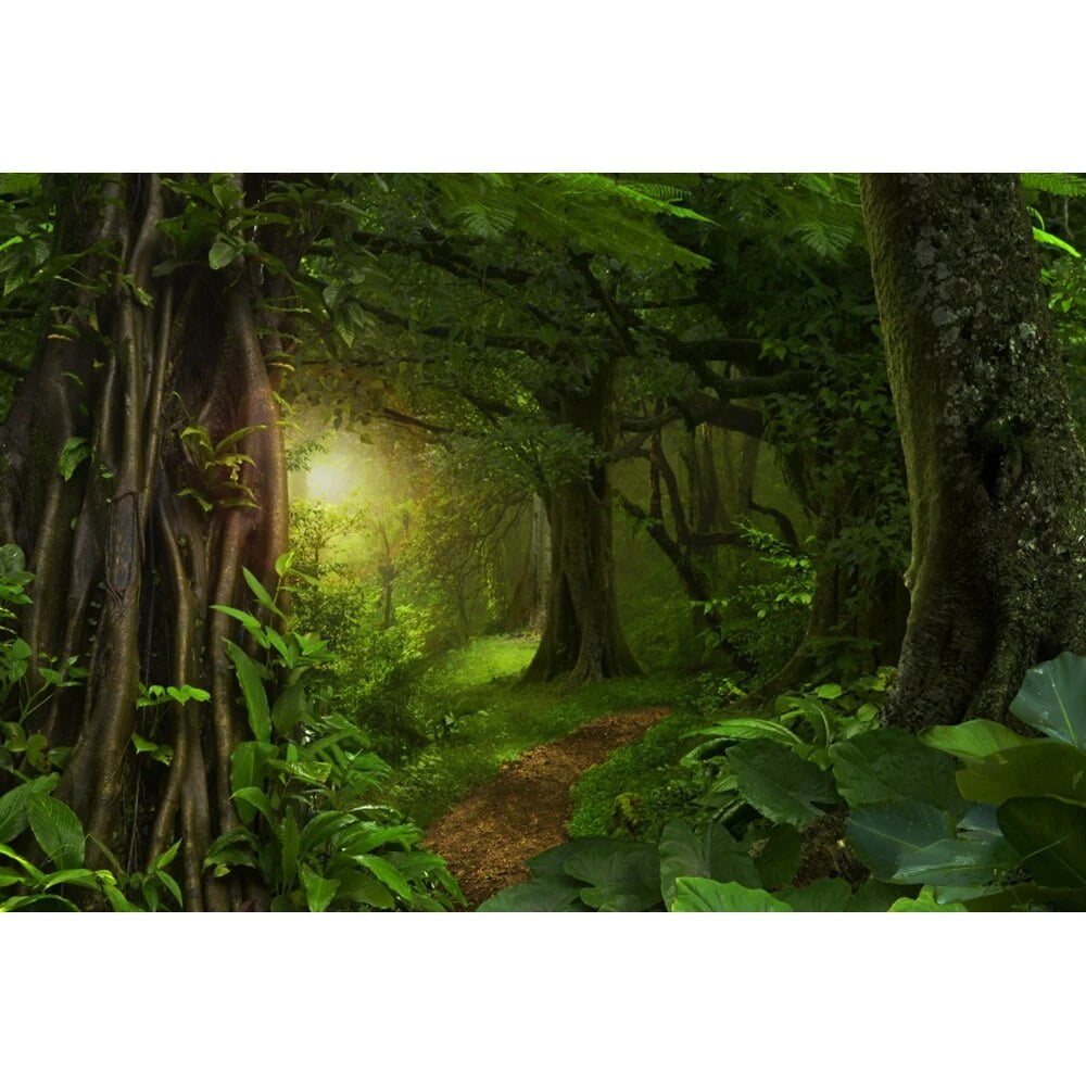 Spring Forest Backdrop Tropical Jungle Rainforest Backdrops for ...