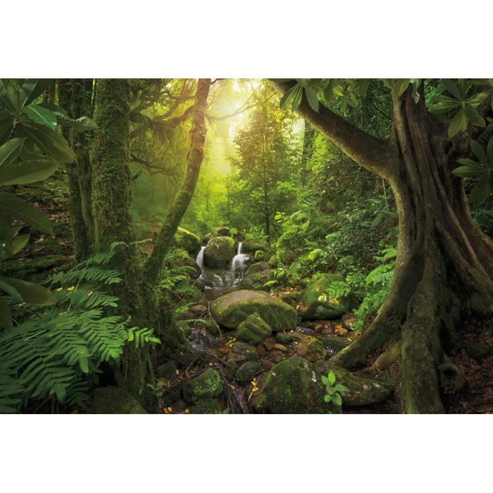 Spring Forest Backdrop Tropical Jungle Rainforest Backdrops for ...