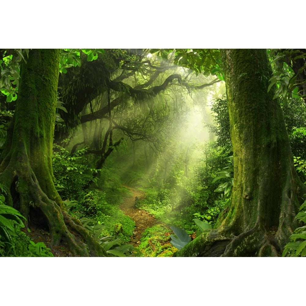 Spring Forest Backdrop Tropical Jungle Rainforest Backdrops for ...