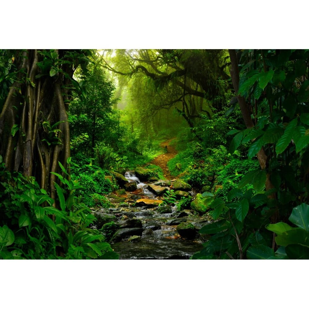 Spring Forest Backdrop Tropical Jungle Rainforest Backdrops for ...