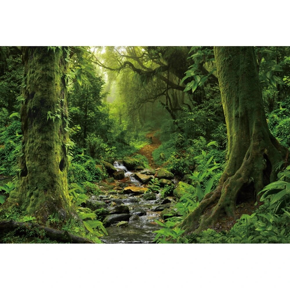 Spring Forest Backdrop Tropical Jungle Rainforest Backdrops for ...