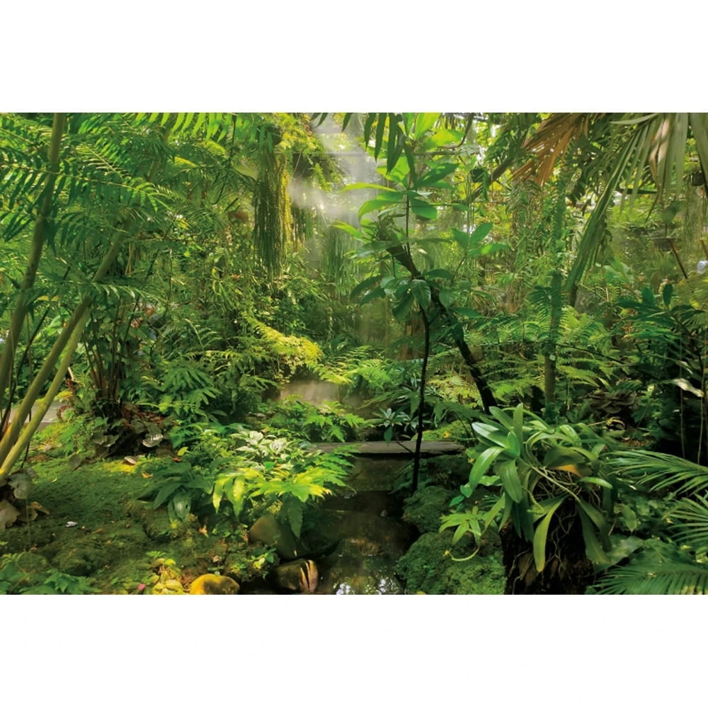 Spring Forest Backdrop Tropical Jungle Rainforest Backdrops for ...