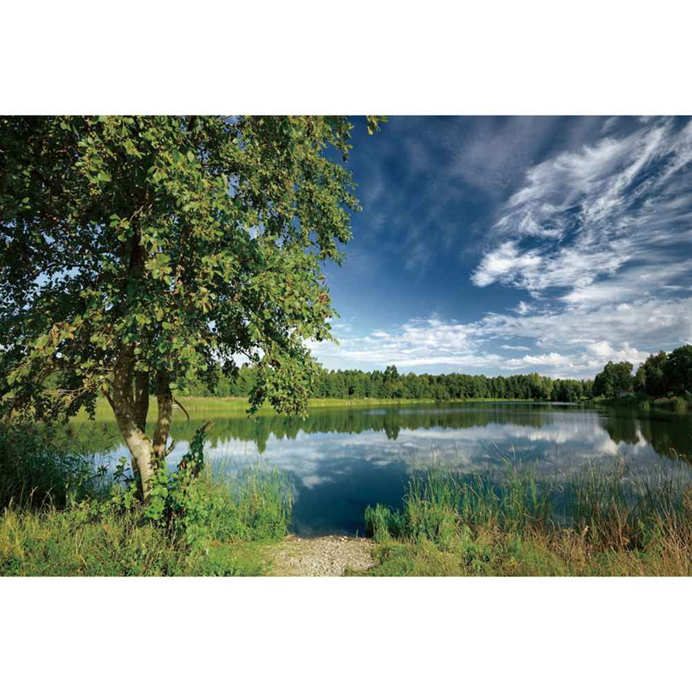 Spring Forest Gard Photography Backdrop Gre Tree River Flower Blossom Photo Studio Background ...