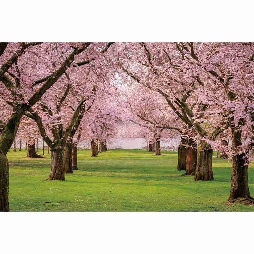 Spring Forest Gard Photography Backdrop Gre Tree River Flower Blossom Photo Studio Background ...
