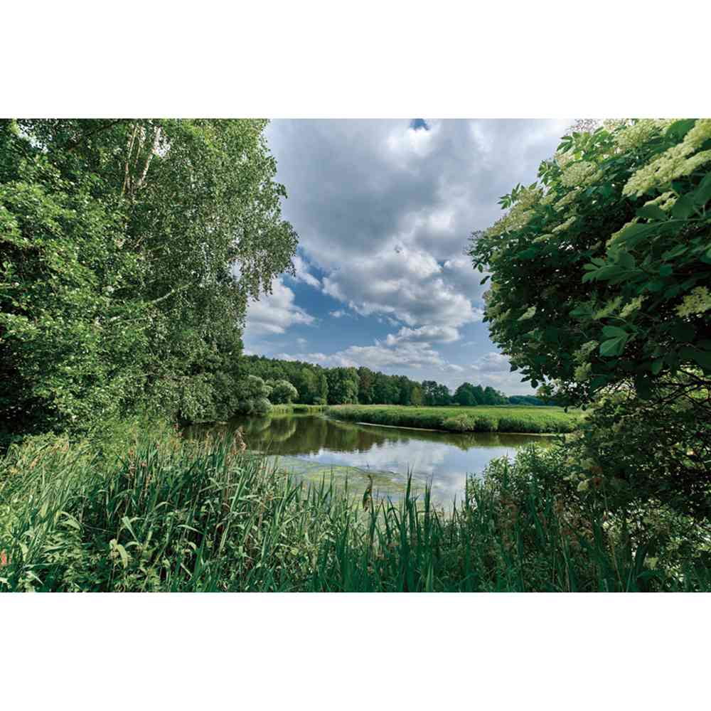 Spring Forest Gard Photography Backdrop Gre Tree River Flower Blossom Photo Studio Background ...