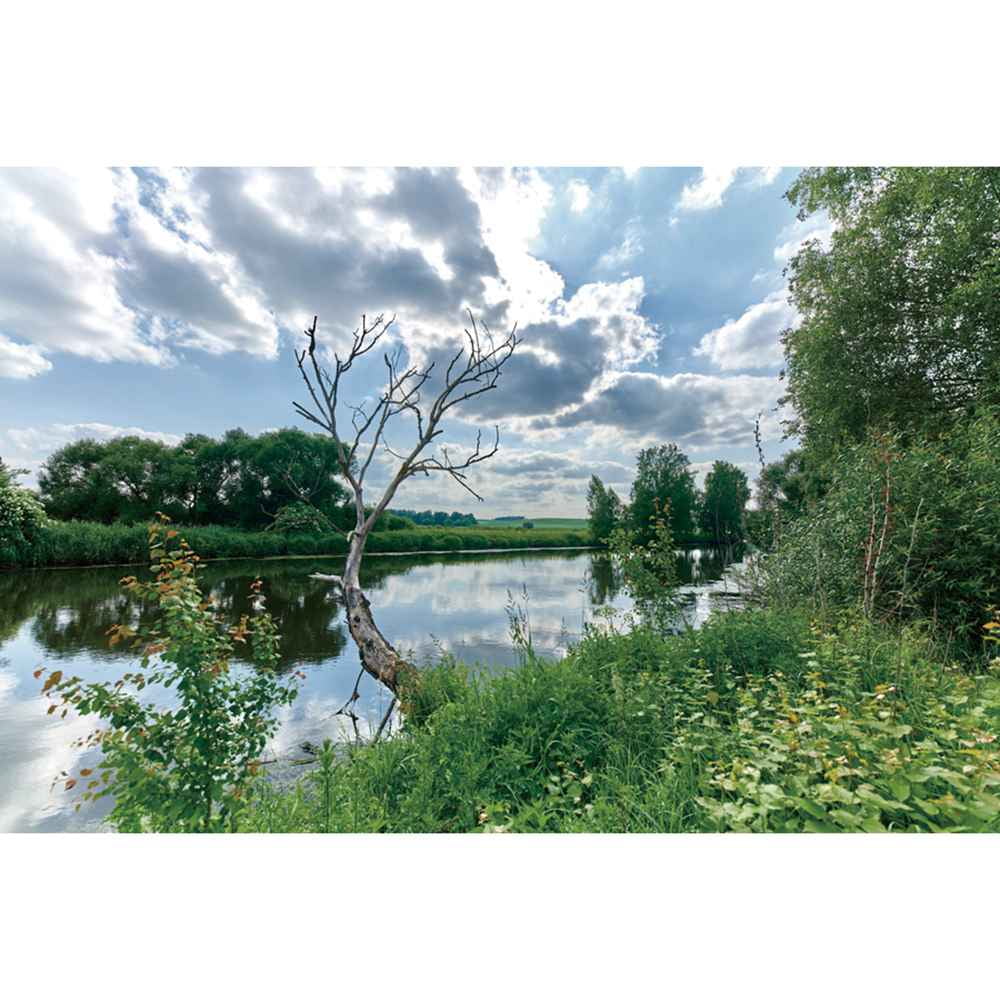 Spring Forest Gard Photography Backdrop Gre Tree River Flower Blossom Photo Studio Background ...