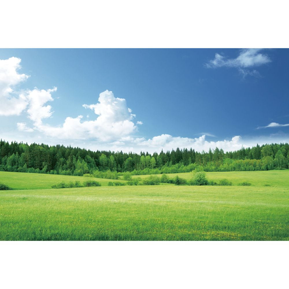 Spring Forest Gard Photography Backdrop Gre Tree River Flower Blossom Photo Studio Background ...