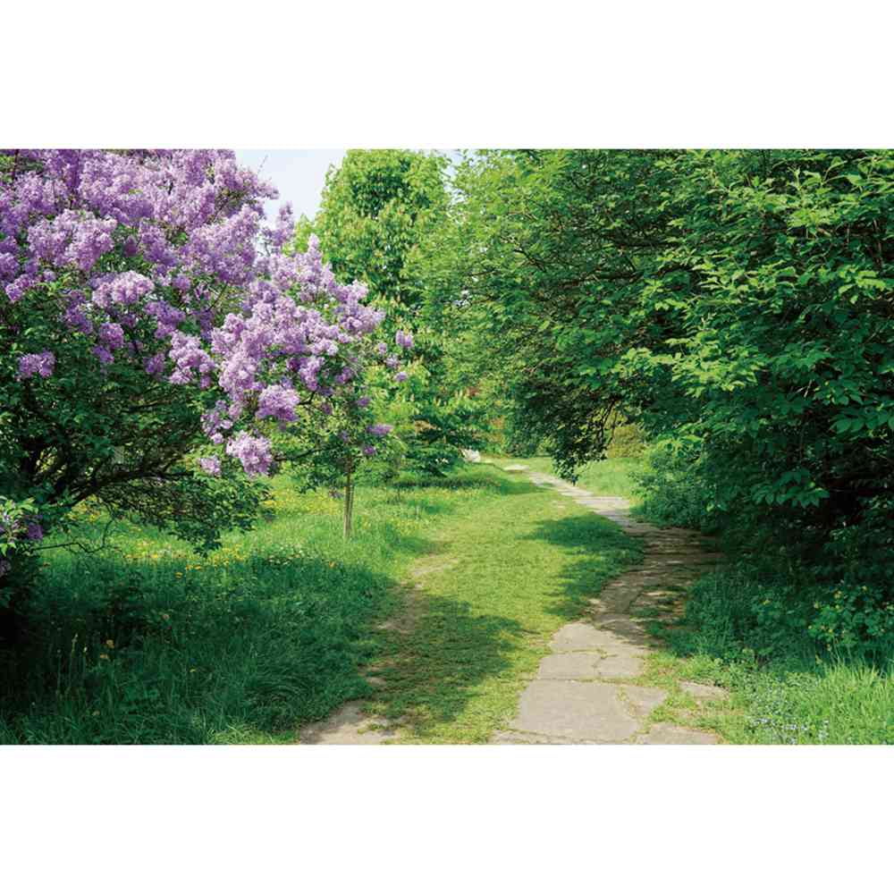 Spring Forest Gard Photography Backdrop Gre Tree River Flower Blossom ...