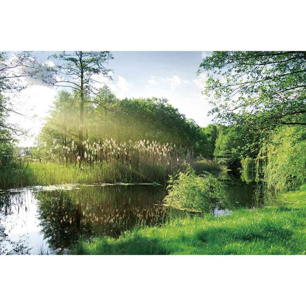 Spring Forest Gard Photography Backdrop Gre Tree River Flower Blossom Photo Studio Background ...