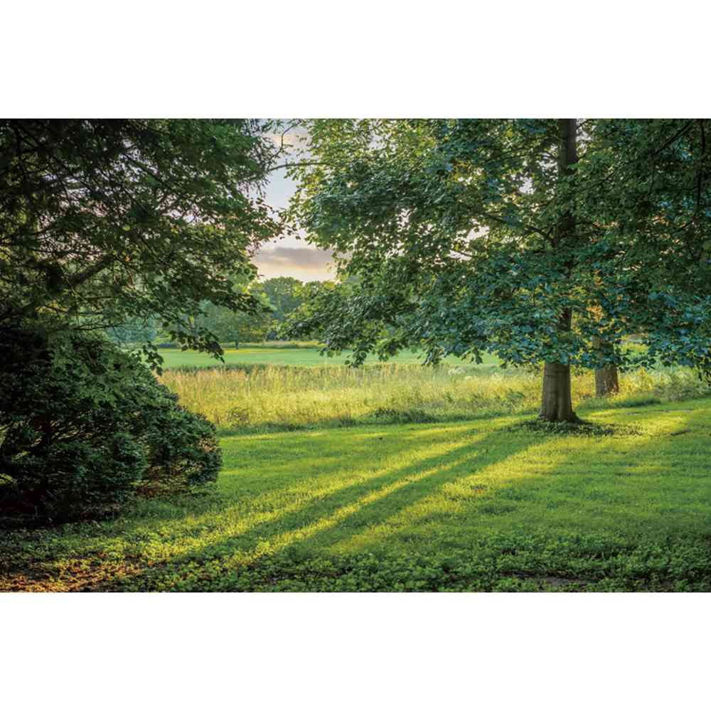 Spring Forest Gard Photography Backdrop Gre Tree River Flower Blossom Photo Studio Background ...