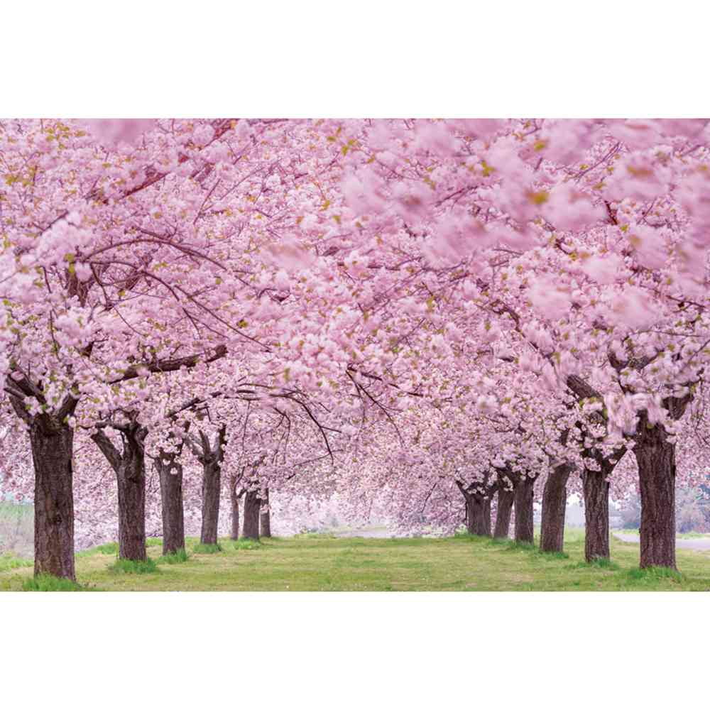 Spring Forest Gard Photography Backdrop Gre Tree River Flower Blossom Photo Studio Background ...