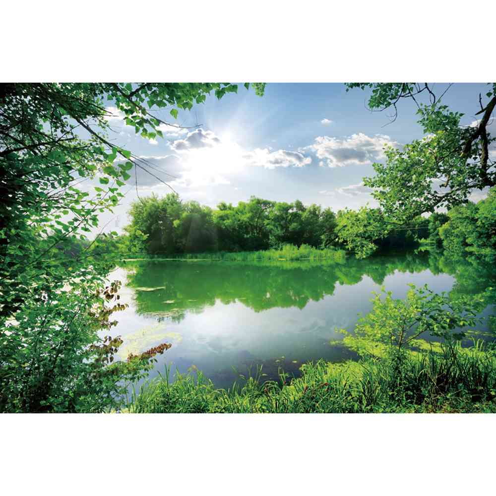 Spring Forest Gard Photography Backdrop Gre Tree River Flower Blossom Photo Studio Background ...