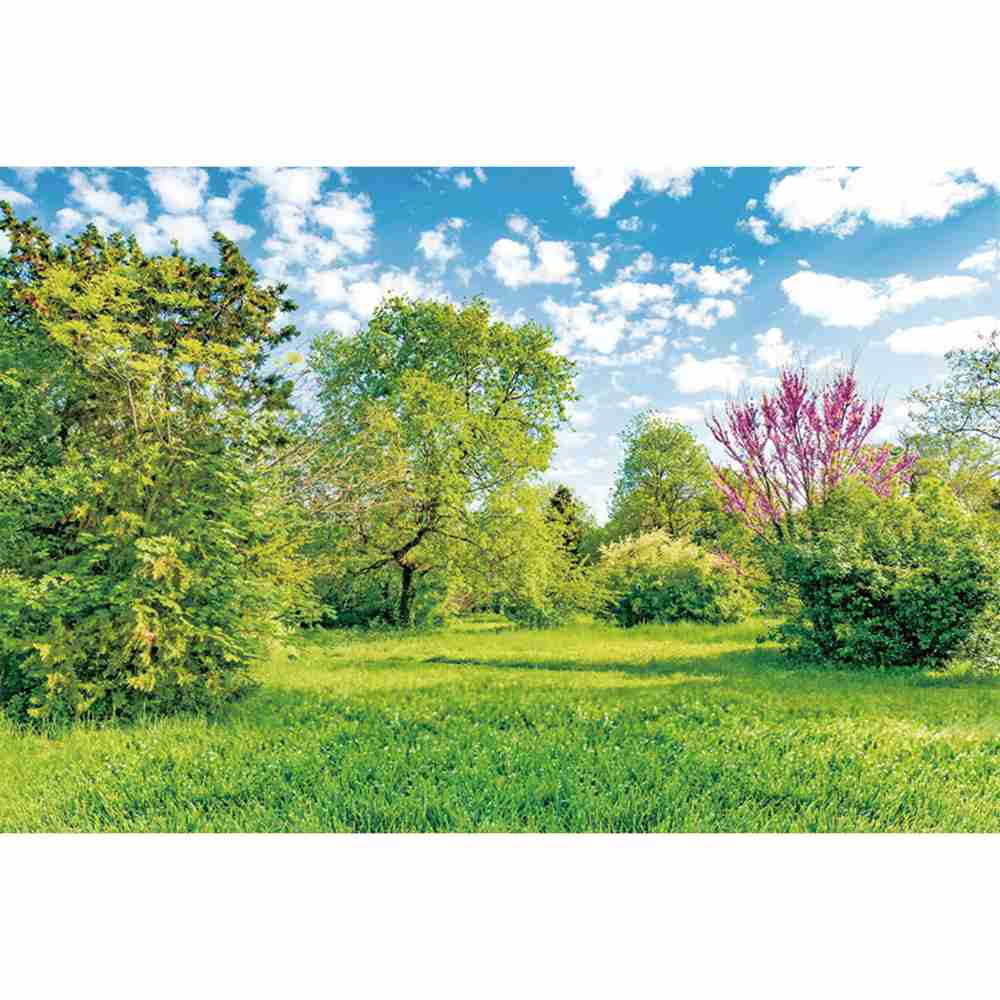 Spring Forest Gard Photography Backdrop Gre Tree River Flower Blossom ...